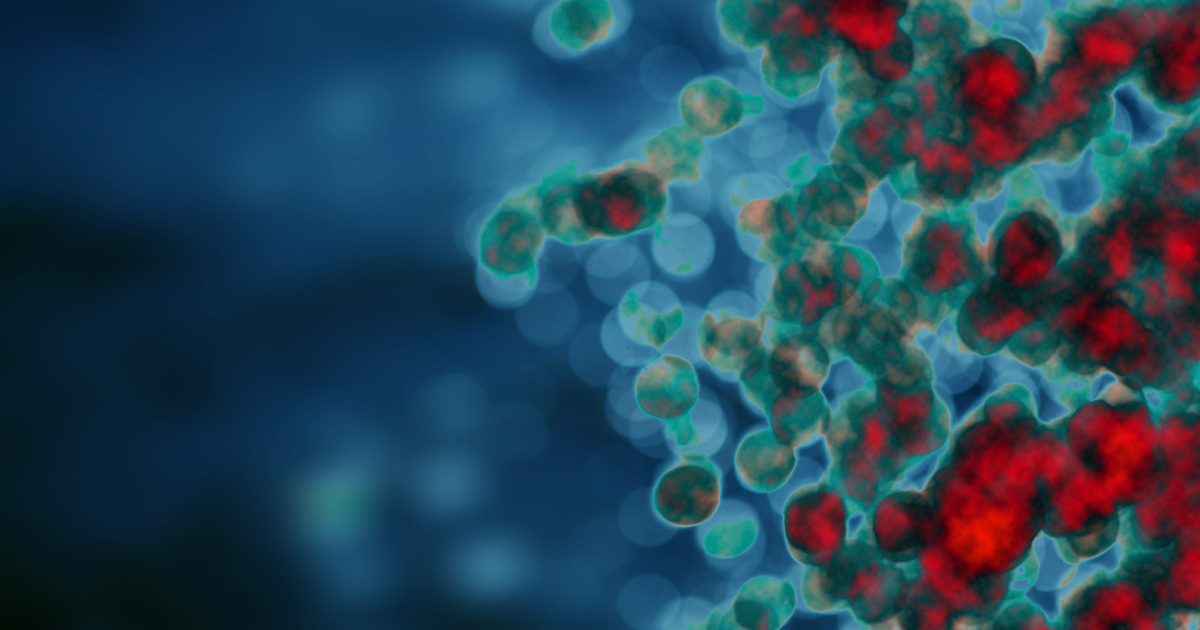 How the immune system works | IBDrelief